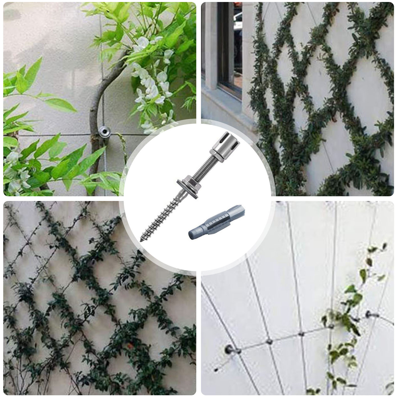 Stainless Steel Wire Trellis For Climbing Plants Training,professional ...
