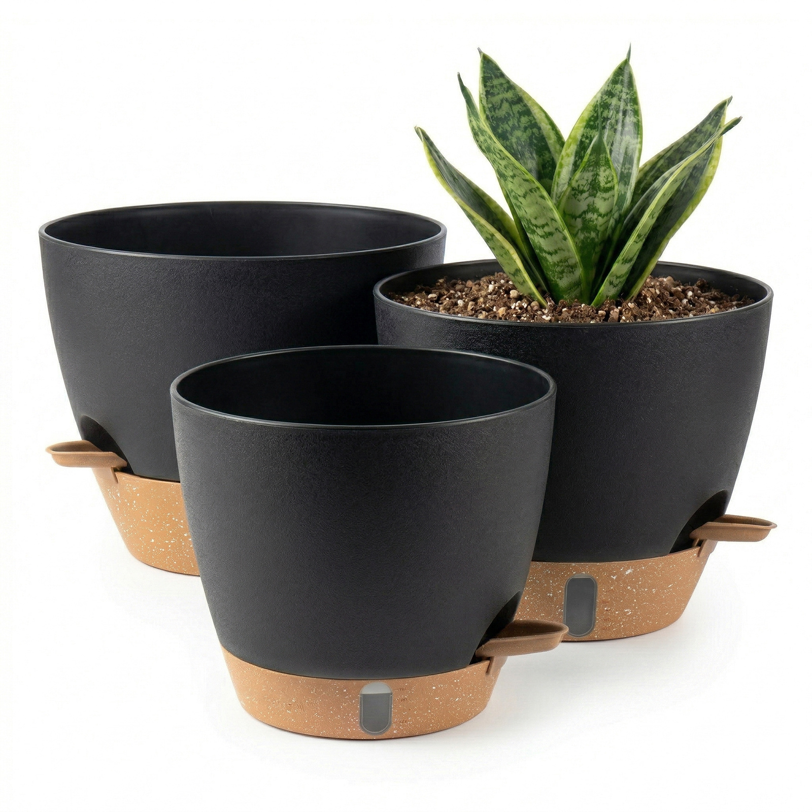 large outdoor pots - United Kingdom